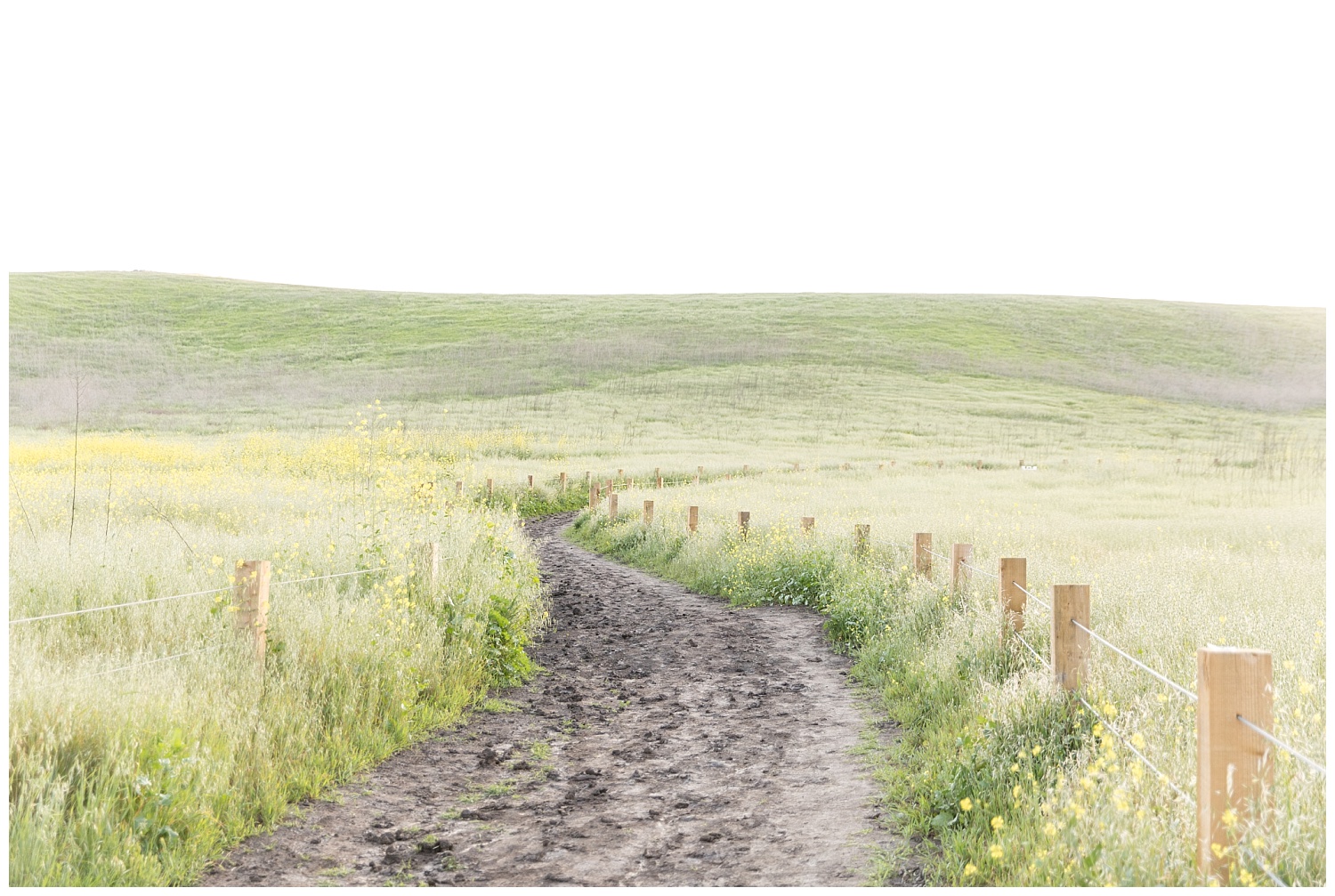 Susanna + Josh // Quail Hill Couples Session | ginapurcellphotography.com
